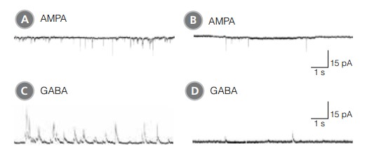 BrainPhys Neuronal Medium for Improved Neuronal Function | Axion Biosystems